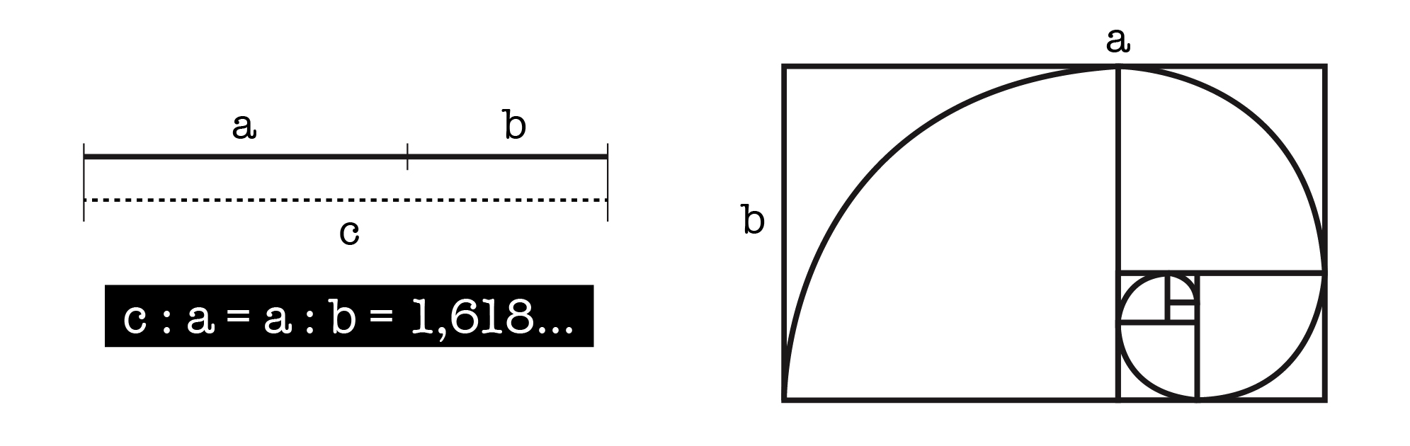 L'importanza della sezione aurea nella progettazione grafica